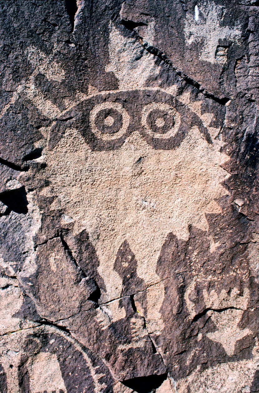 De Rotstekening Grotschilderingen En Rotskunst Prehistorische Kunst