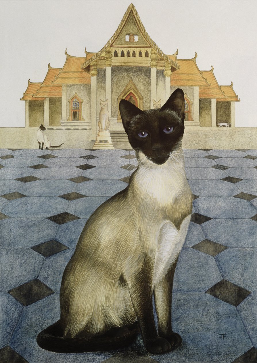 Siamese | Joan Freestone | Kunstafdruk