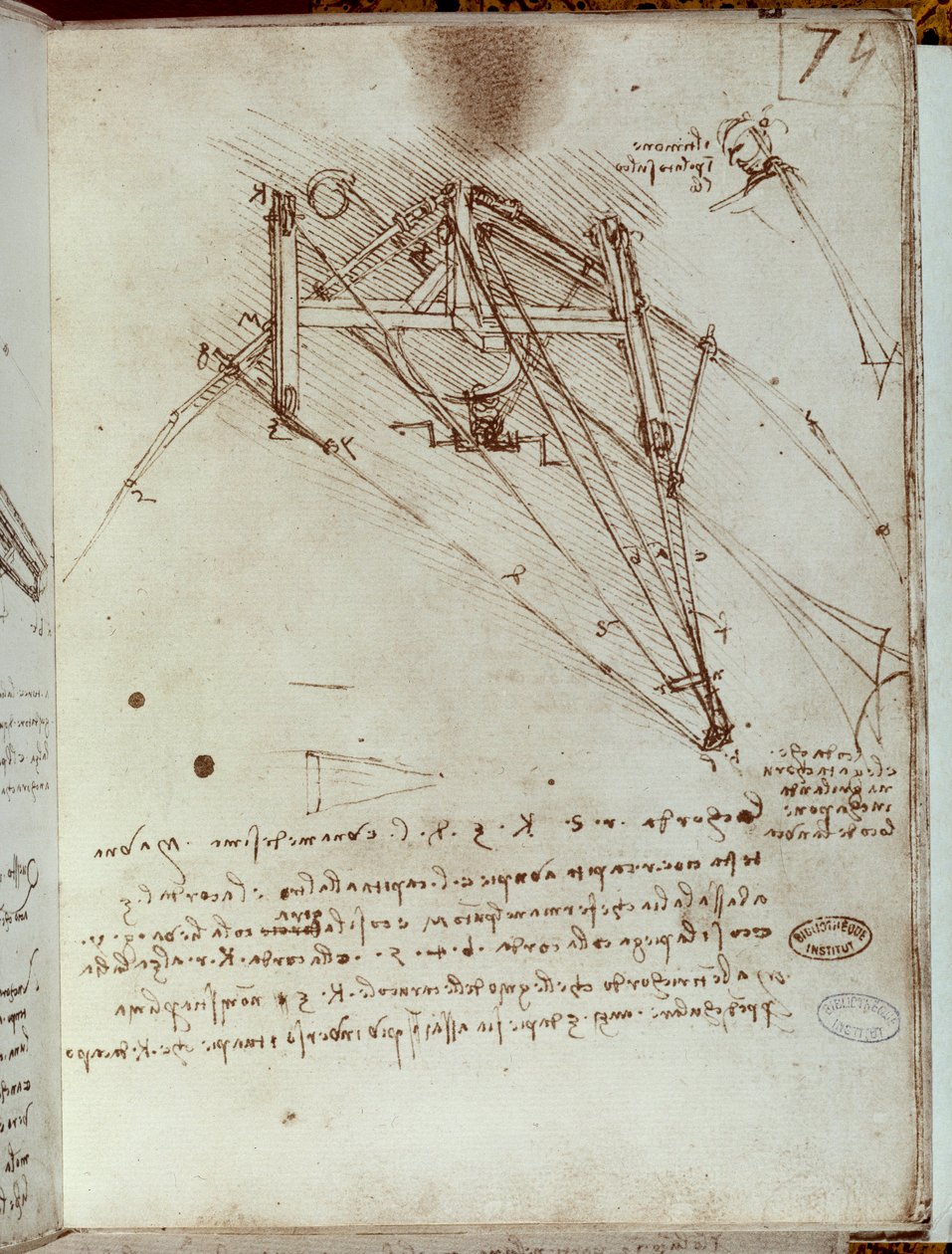 Leonardo Da Vinci Tegninger Av Fugler Renessansens Geniale Polymat