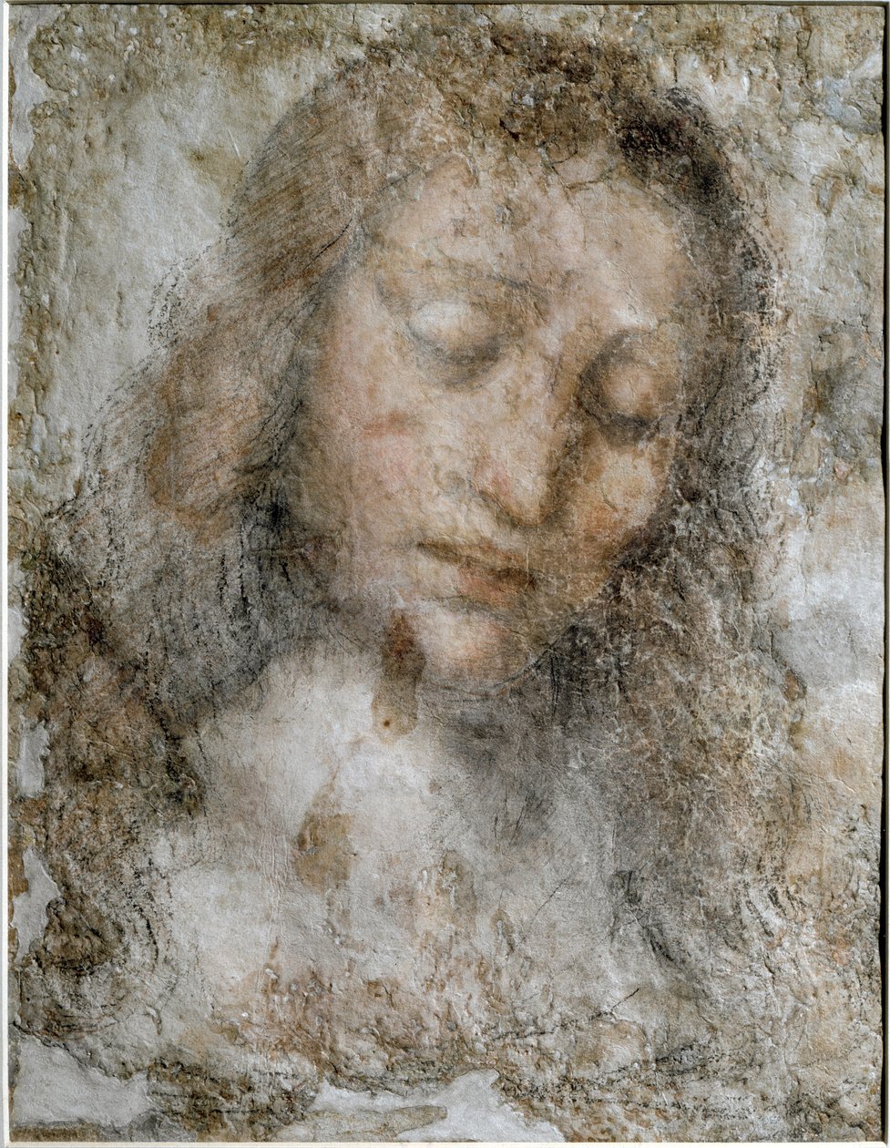 Hoofd van Christus de Verlosser | Leonardo da Vinci