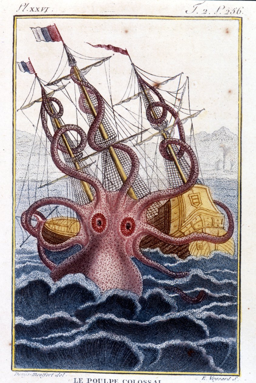 Tekening Van Een Reuzenoctopus