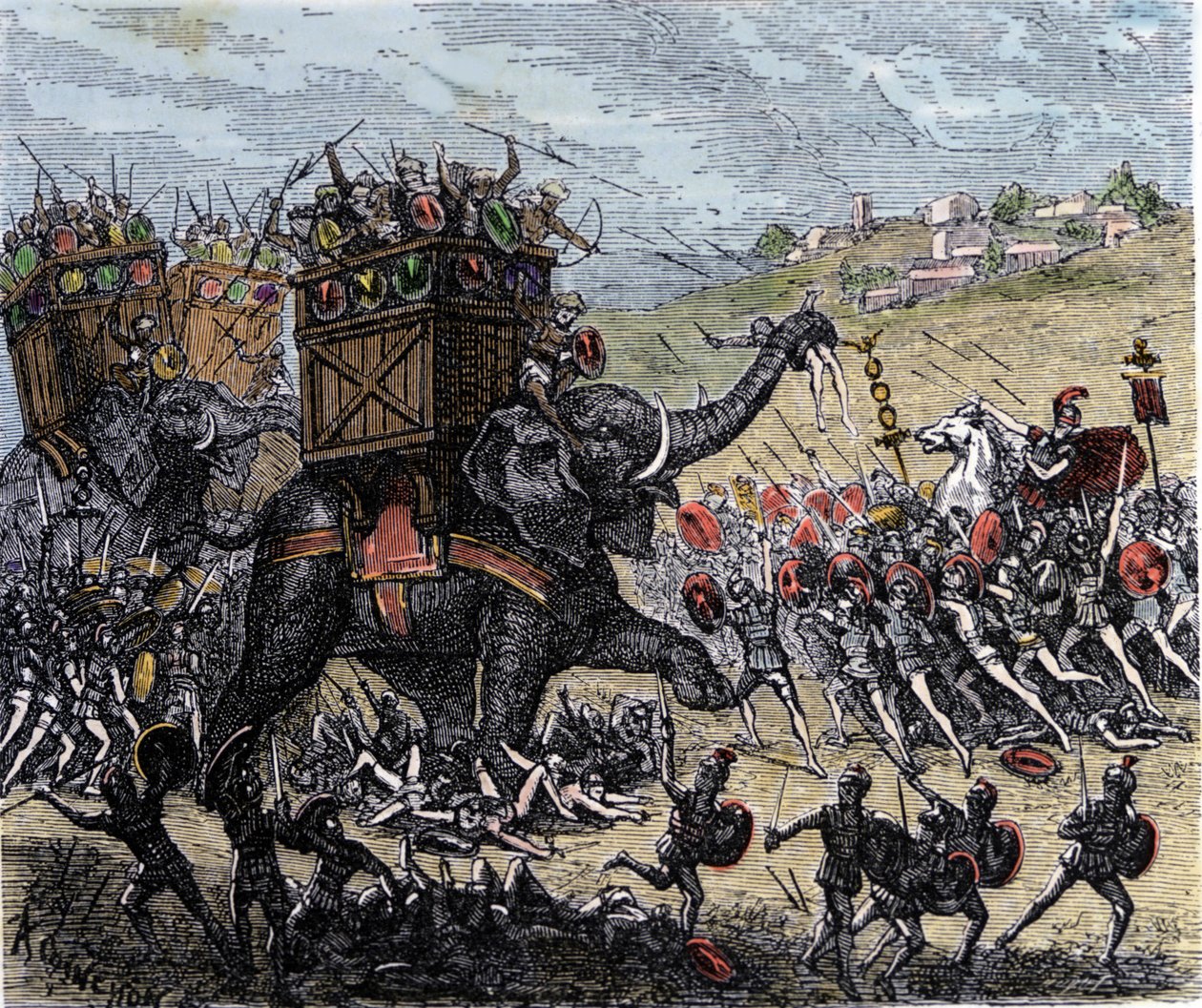 Batalla De Zama The Battle Of Zama The Beginning Of Roman Conquest